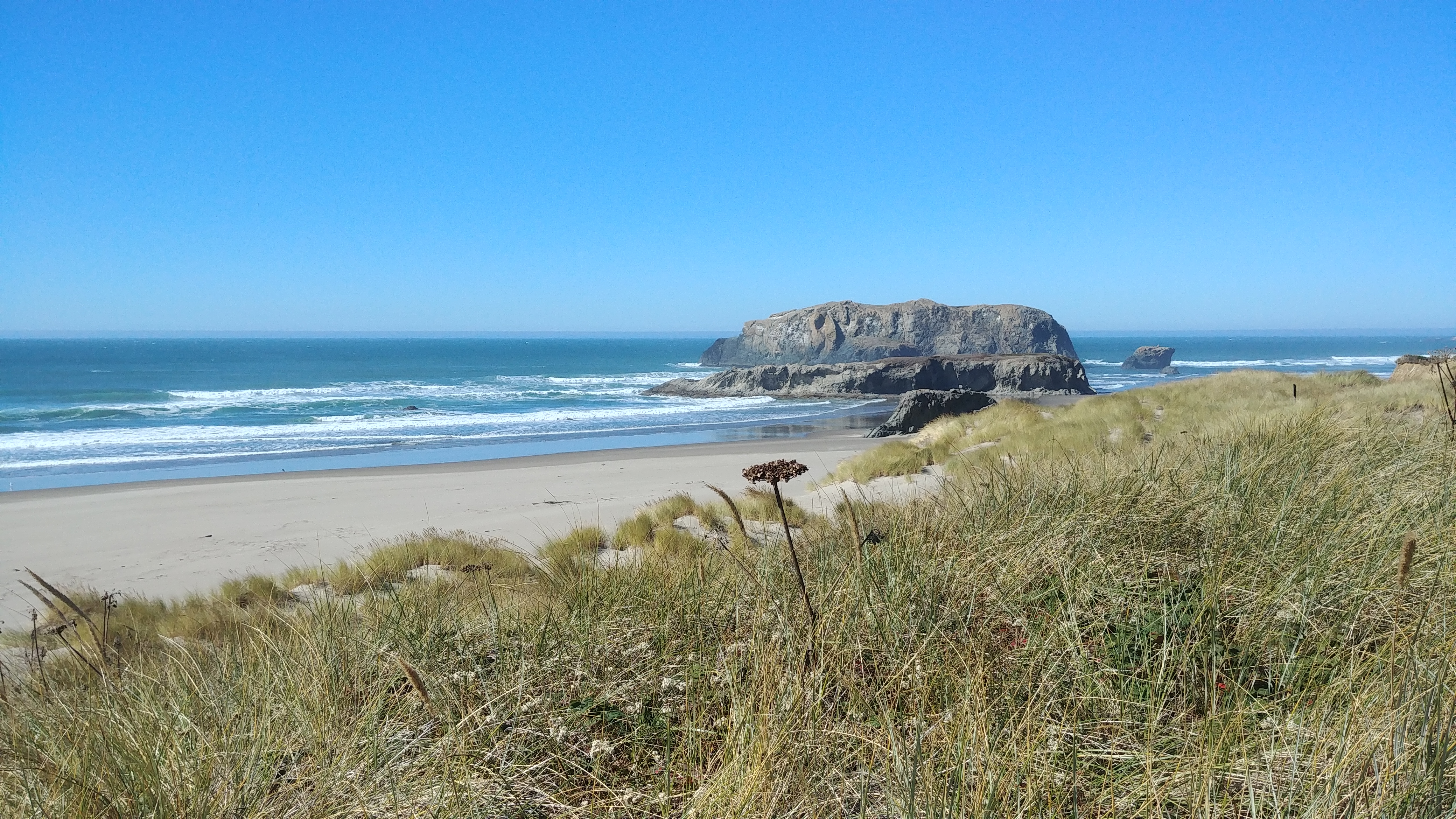 Gallery – Cape Arago Audubon Society